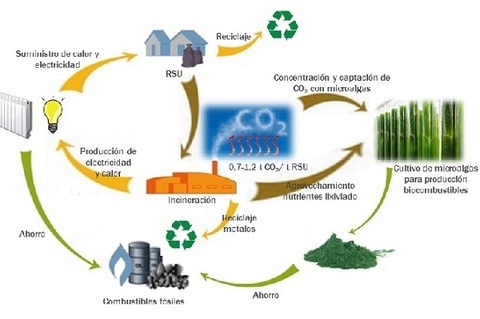 LA VALORIZACIÓN ENERGÉTICA - APIA