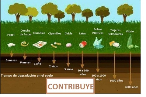 LOS MATERIALES BIODEGRADABLES - APIA
