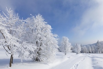 DÍA MUNDIAL DE LA NIEVE - APIA